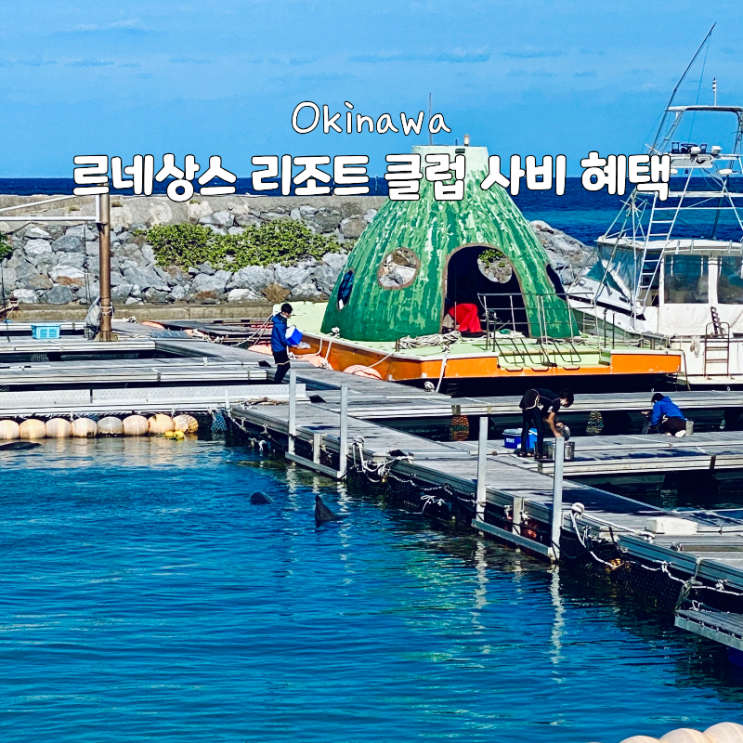 르네상스 오키나와 리조트 클럽 사비 혜택 아이랑 가족여행 꿀팁 : 네이버 블로그