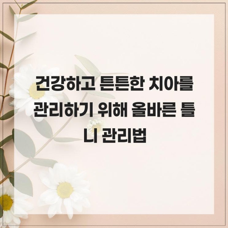건강하고 튼튼한 치아를 관리하기 위해 올바른 틀니 관리법 : 네이버 블로그
