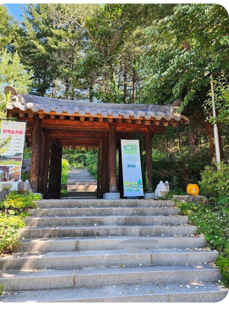 원주 피노키오자연휴양림 : 네이버 블로그