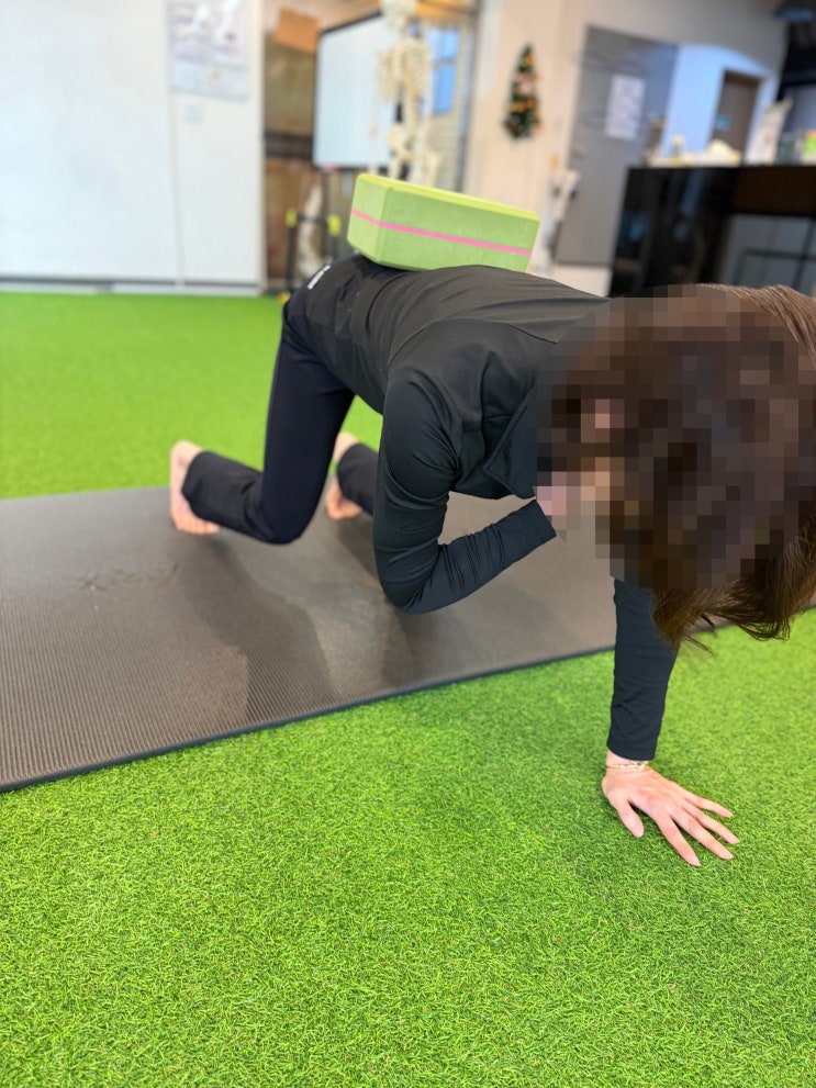 동천동 산후필라테스·PT｜출산 후 무너진 골반과 코어, 기능부터 회복해야 하는 이유 : 네이버 블로그