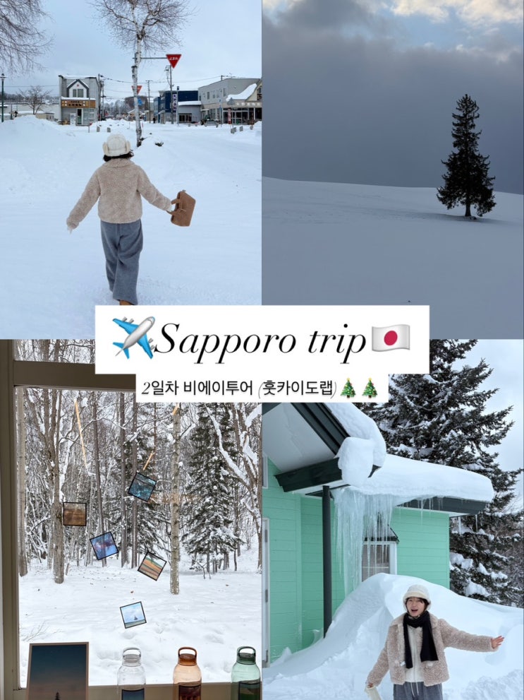 ️겨울 삿포로 비에이 투어 솔직후기 ㅣ 훗카이도랩 비에이투어 흰수염폭포·탁신관·크리스마스트리·준페이 식사까지! 총정리 : 네이버 블로그
