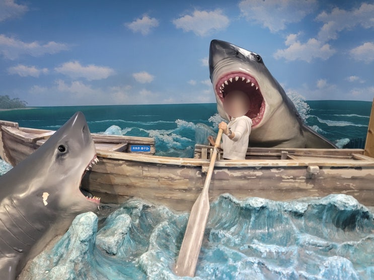 제주 여행 3일차 일정 기록｜아쿠아플라넷부터 비자림, 공항근처 숙소까지 : 네이버 블로그