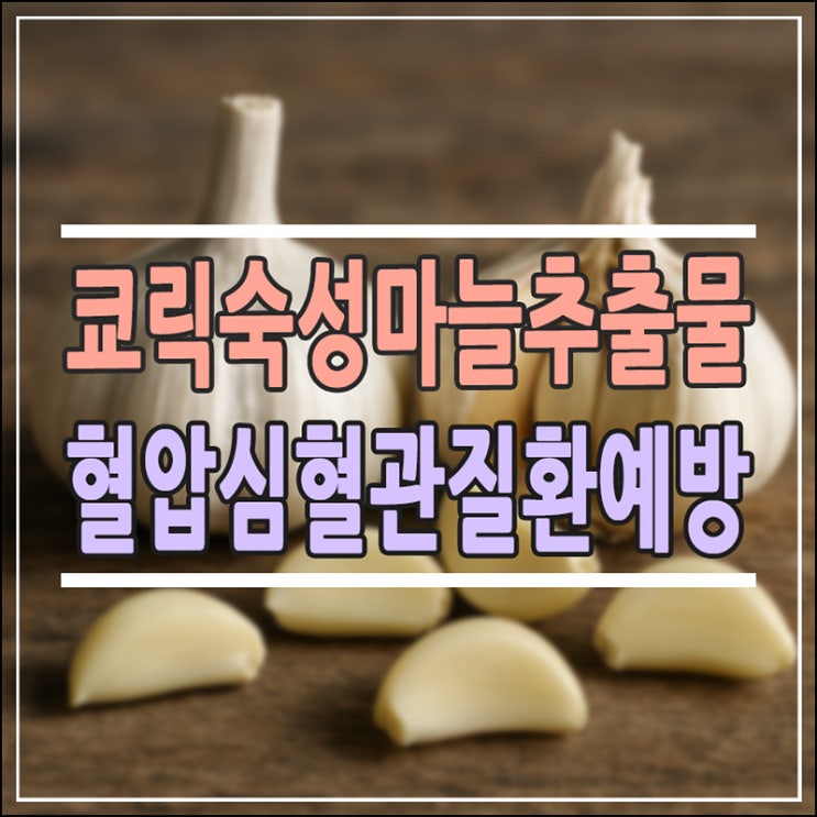 쿄릭 숙성마늘 추출물 효능 5가지와 고르는 법: 혈압 및 심혈관 건강 가이드 : 네이버 블로그