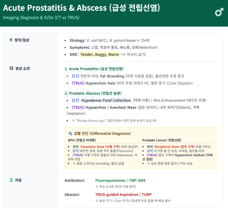 [응급의학과] Acute prostatitis and abscess, 급성 전립선염, 농양 : 네이버 블로그