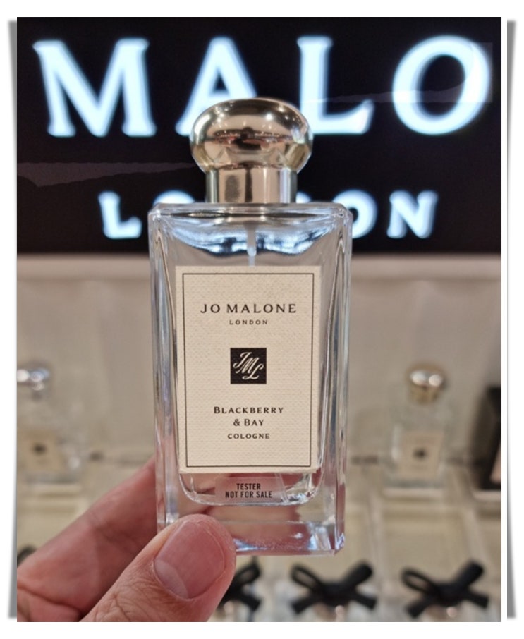 조말론 블랙베리 앤 베이(Jo Malone Blackberry & Bay)와 센트맵 니치향수, 깊이 있는 잔향의 매력 후기 ...