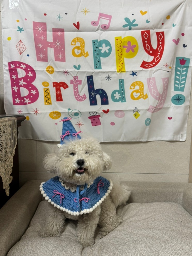 Jan_2 : 네이버 블로그