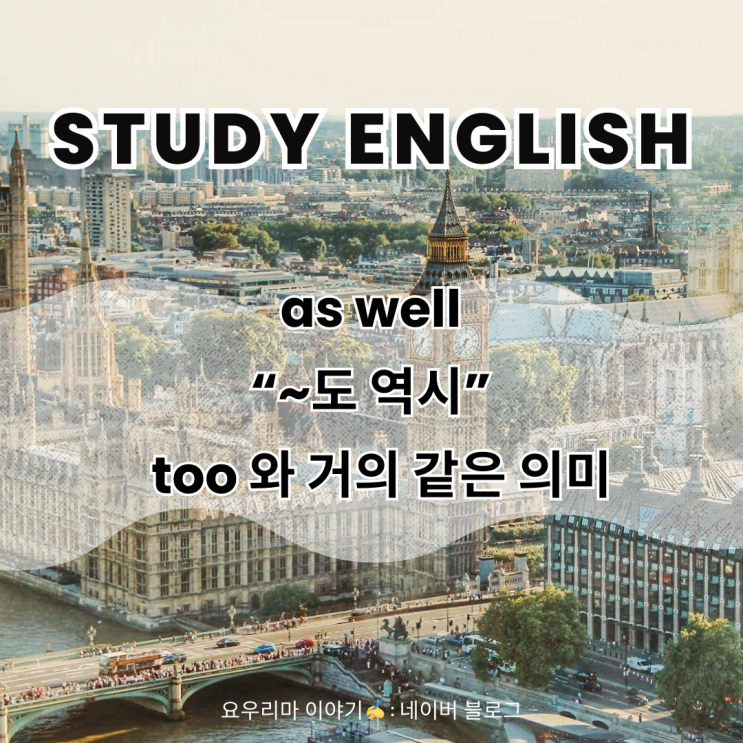 321 DAYS 하루에 영어 10문장 외우기 - as well “~도 역시” too 와 거의 같은 의미 : 네이버 블로그