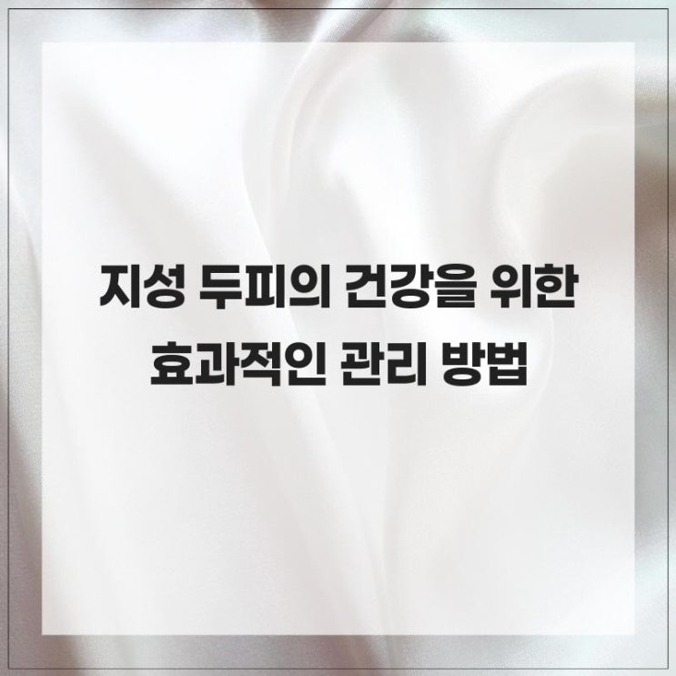 지성 두피의 건강을 위한 효과적인 관리 방법 : 네이버 블로그