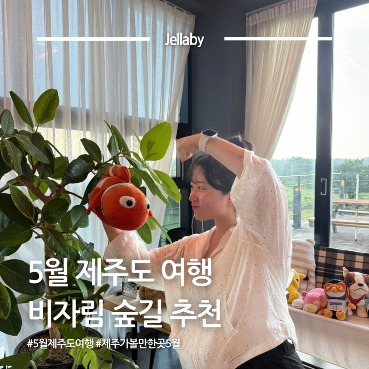 5월 제주도 여행 가볼만한곳 비자림 주차 입장료 소요시간 등 : 네이버 블로그