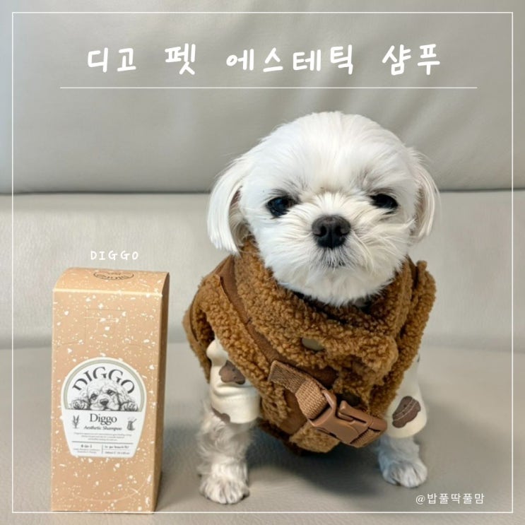 강아지샴푸추천_디고 DIGGO 샴푸로 목욕해요 : 네이버 블로그