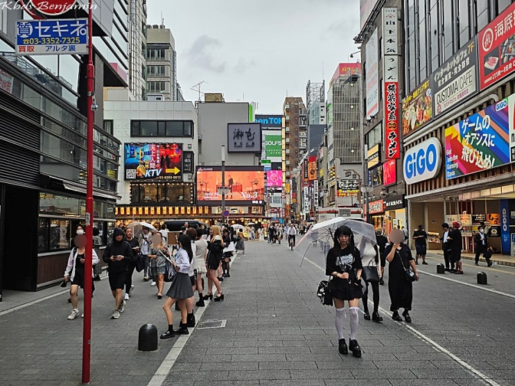 비짓재팬웹 등록방법 VISIT JAPAN 일본 입국심사 도쿄 자유 여행 코스 : 네이버 블로그
