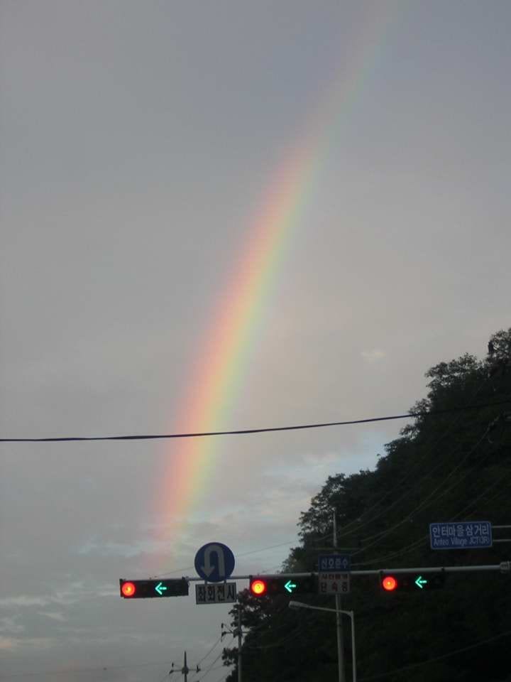 Rainbow from Traffic Signal : 네이버 블로그