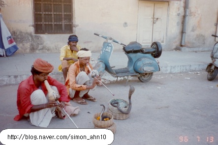 인도여행 코브라 show : 네이버 블로그