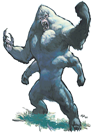 기랄론(Girallon) : 네이버 블로그