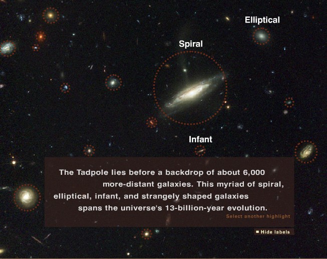 올챙이 모양의 외관(外觀)을 가진 전파은하(The Tadpole Galaxy, UGC 10214) : 네이버 블로그