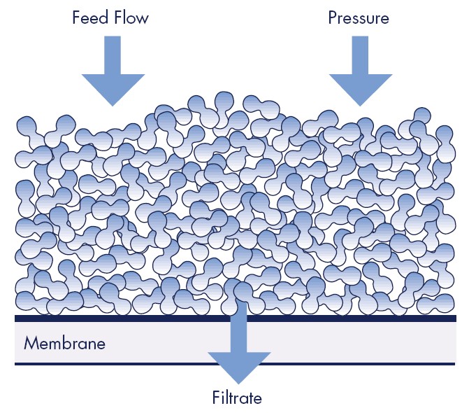 Tangential Flow Filtration : 네이버 블로그