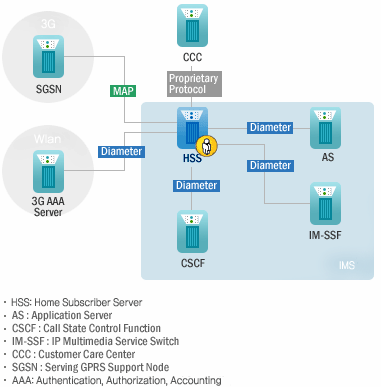 HSS 개념잡기 : 네이버 블로그