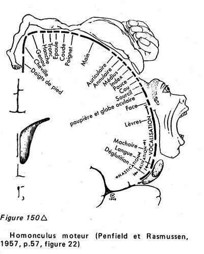 Key Point of Control : 네이버 블로그