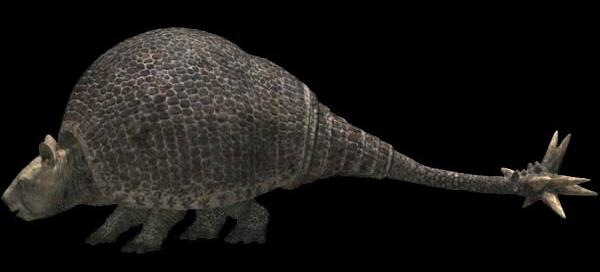 도에디쿠루스 - Doedicurus : 네이버 블로그