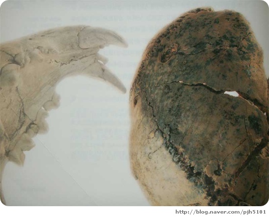 스와르트그란스(SWARTKRANS) : 네이버 블로그