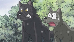 3월 2일(금)의 SP, 비밀도구에 주목! : 네이버 블로그