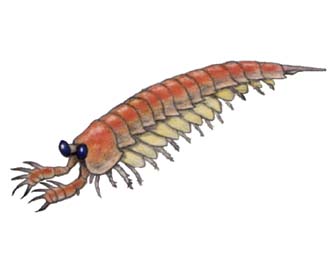 요효이아 [Yohoia] : 네이버 블로그