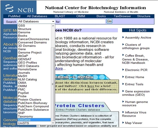 유전자 발현 정보들 알아보기 - NCBI Unigene에 대하여.. : 네이버 블로그