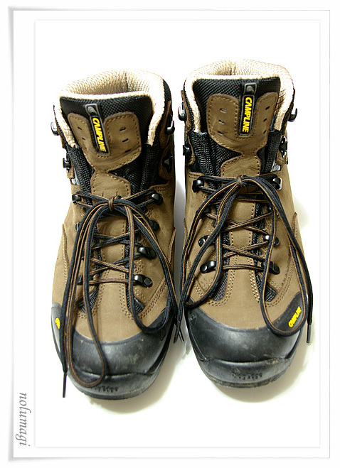 캠프라인 뉴애니스톰 : 네이버 블로그