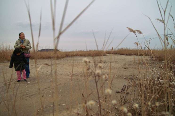 anmyon-do. 1004man. sea. : 네이버 블로그