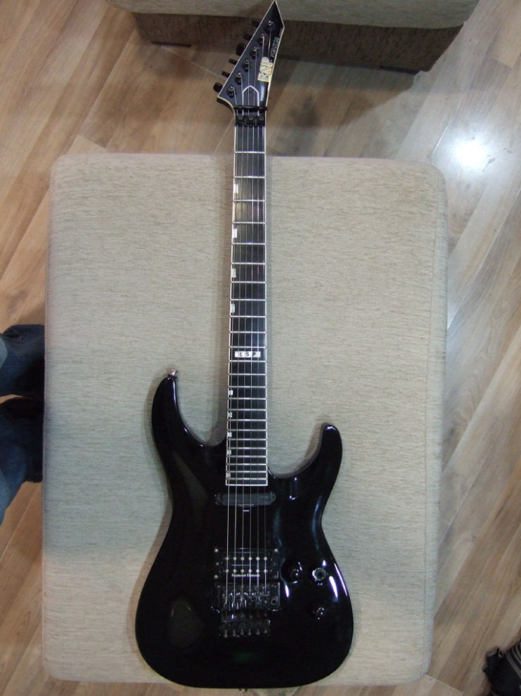 ESP Horizon-1 : 네이버 블로그