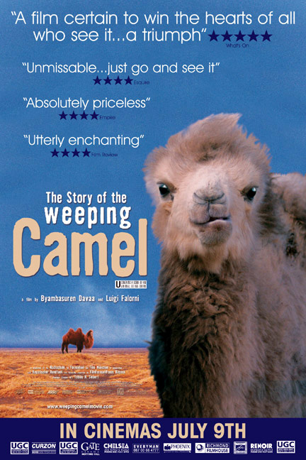 낙타의 눈물(The Story of The Weeping Camel) : 네이버 블로그
