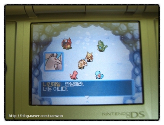 xaewon 님 전용대사 : 네이버 블로그