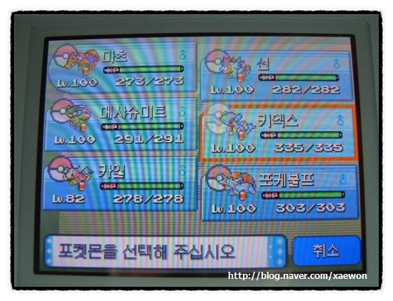 xaewon 의 실전멤버 6 마리 : 네이버 블로그