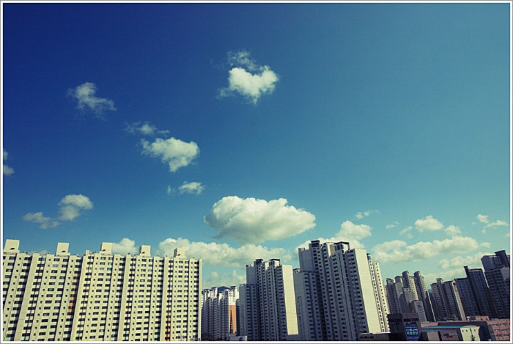 성질나게 이쁜하늘을..... : 네이버 블로그