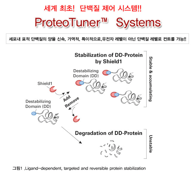 A rapid, reversible, and tunable method to regulate protein function in ...
