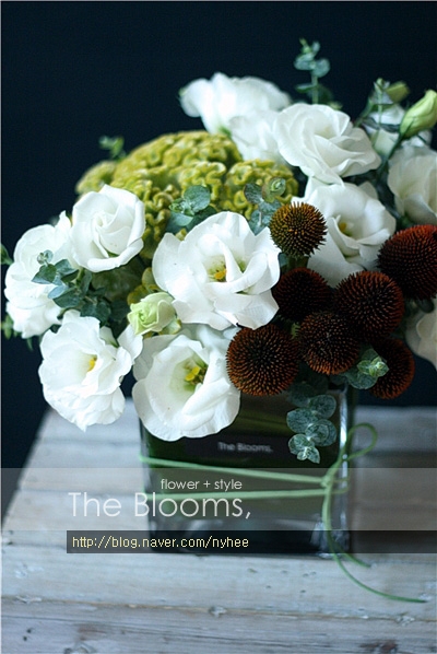 weekly flower : KJ-7 : 네이버 블로그