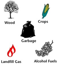 BIOMASS - Energy From Plant and Animal Matter : 네이버 블로그