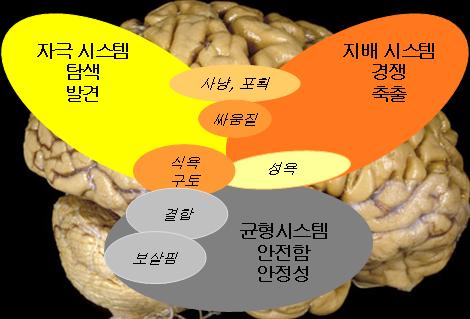 Limbic Map : 네이버 블로그