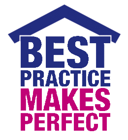 Best Practice vs. Best Fit : 네이버 블로그