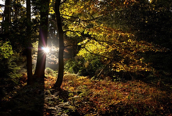 믿을 수 없는 사진 세계 - Tim Simmons : 네이버 블로그