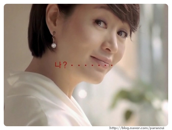 [CF] 김혜수 - CJ 해찬들 남편편 / 15s. 2009 : 네이버 블로그