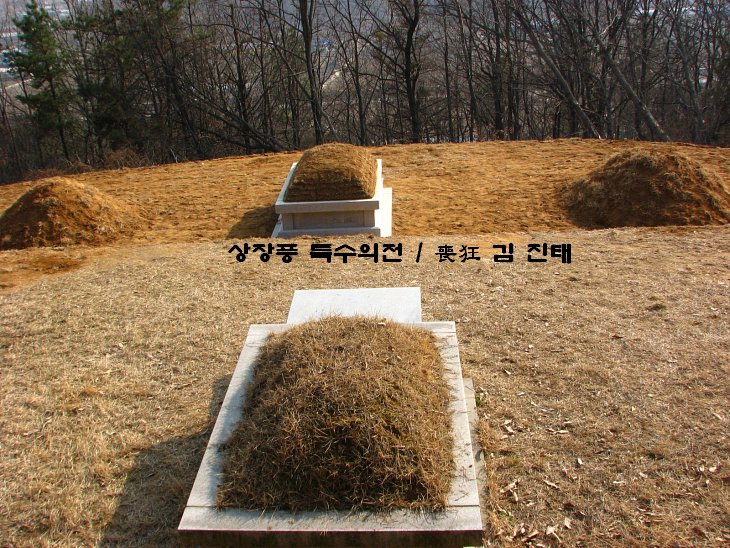 묘지조성 사초 벌초 금초 이장 개장 면례는 윤달 청명 한식and상장풍김진태칠성판가족묘지문중묘지종중묘지개장묘지성역화묘지