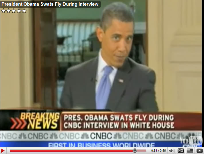 오바마 파리 동영상 오바마 파리잡는 모습 CNBC 인터뷰 도중 유튜브 고화질 Youtube HD Obama fly swat ...