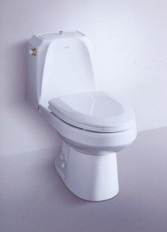 CT761 : 네이버 블로그