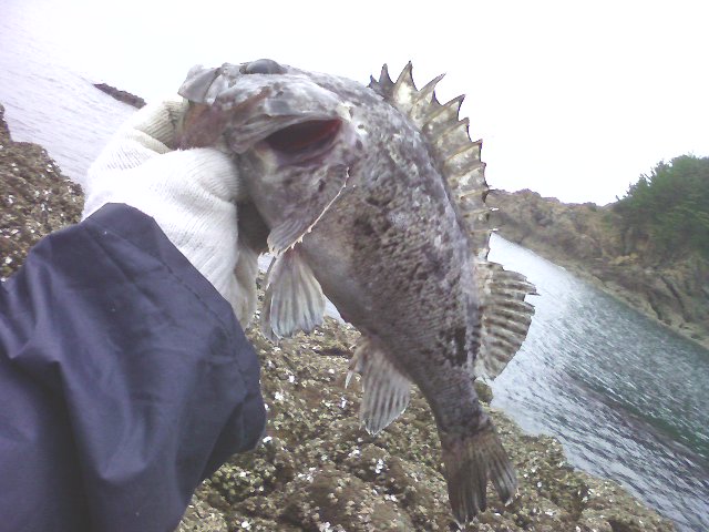 5월 21일, 폰사진 : 네이버 블로그