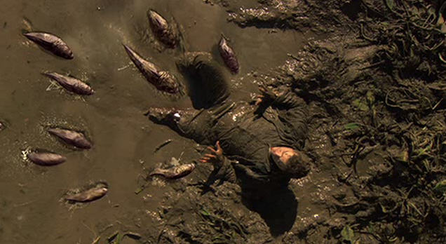 [미국] 프랑켄피쉬 (Frankenfish, 2004) : 네이버 블로그