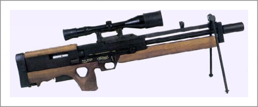 Walter WA2000 : 네이버 블로그