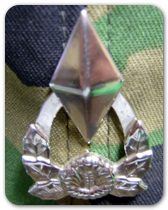 경축 ROTC 33기 임관 10주년 : 네이버 블로그