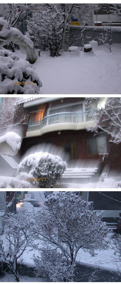 2005년3월2일 새벽에 눈 쓸기 직전에 찍은 사진 몇장 네이버 블로그