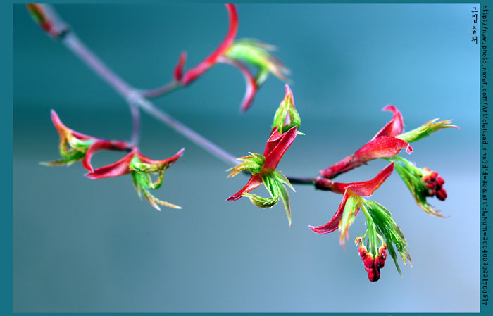 인간의 마음을 사로잡는 20가지 플롯 - 20 MASTER PLOTS : 네이버 블로그